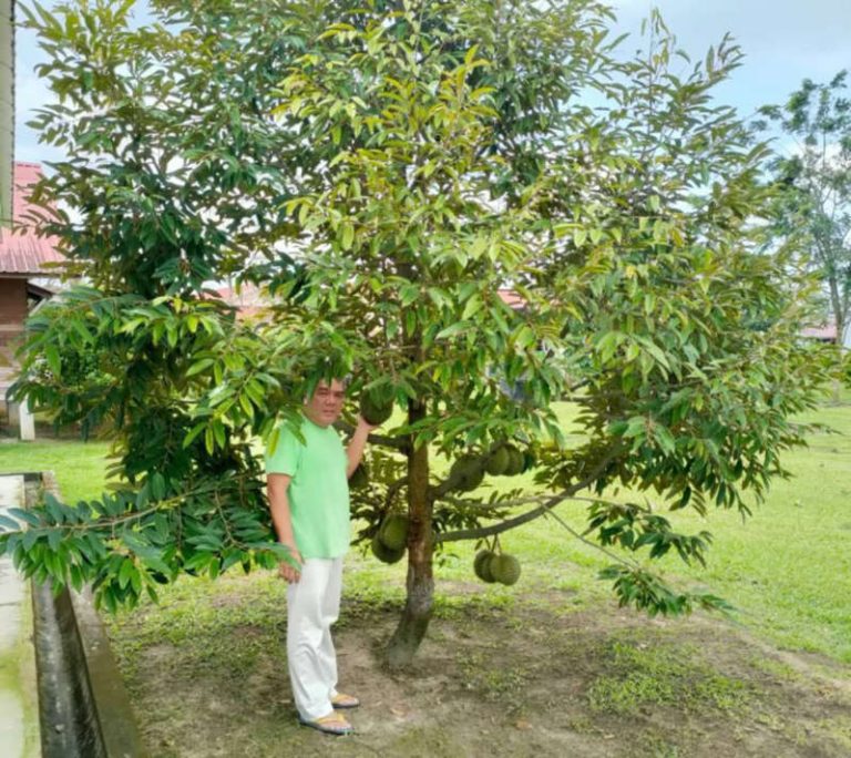 Tupai KIng Yang Diberikan Gelaran Musang Queen Kerana Menyamai ...