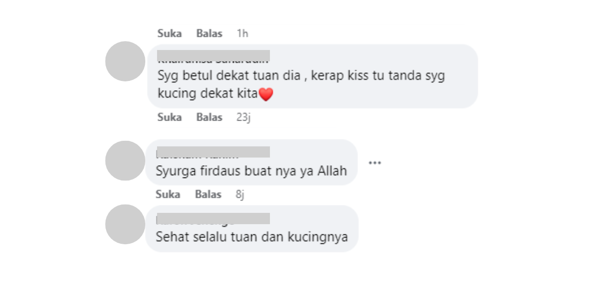 "Ini baru orang panggil dalam hati ada taman"- Abang Motor Bawa Kucing ...
